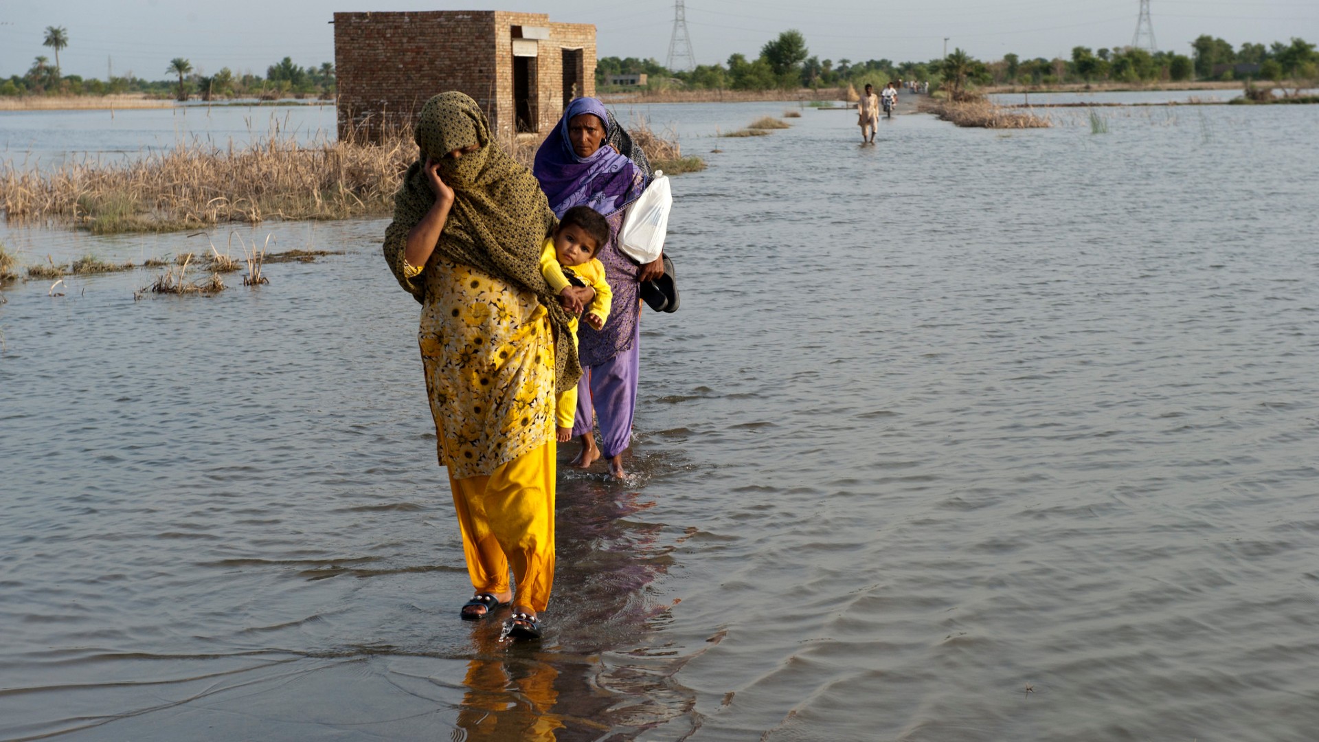 How to Make Climate Refugee Protections a Reality • The Revelator