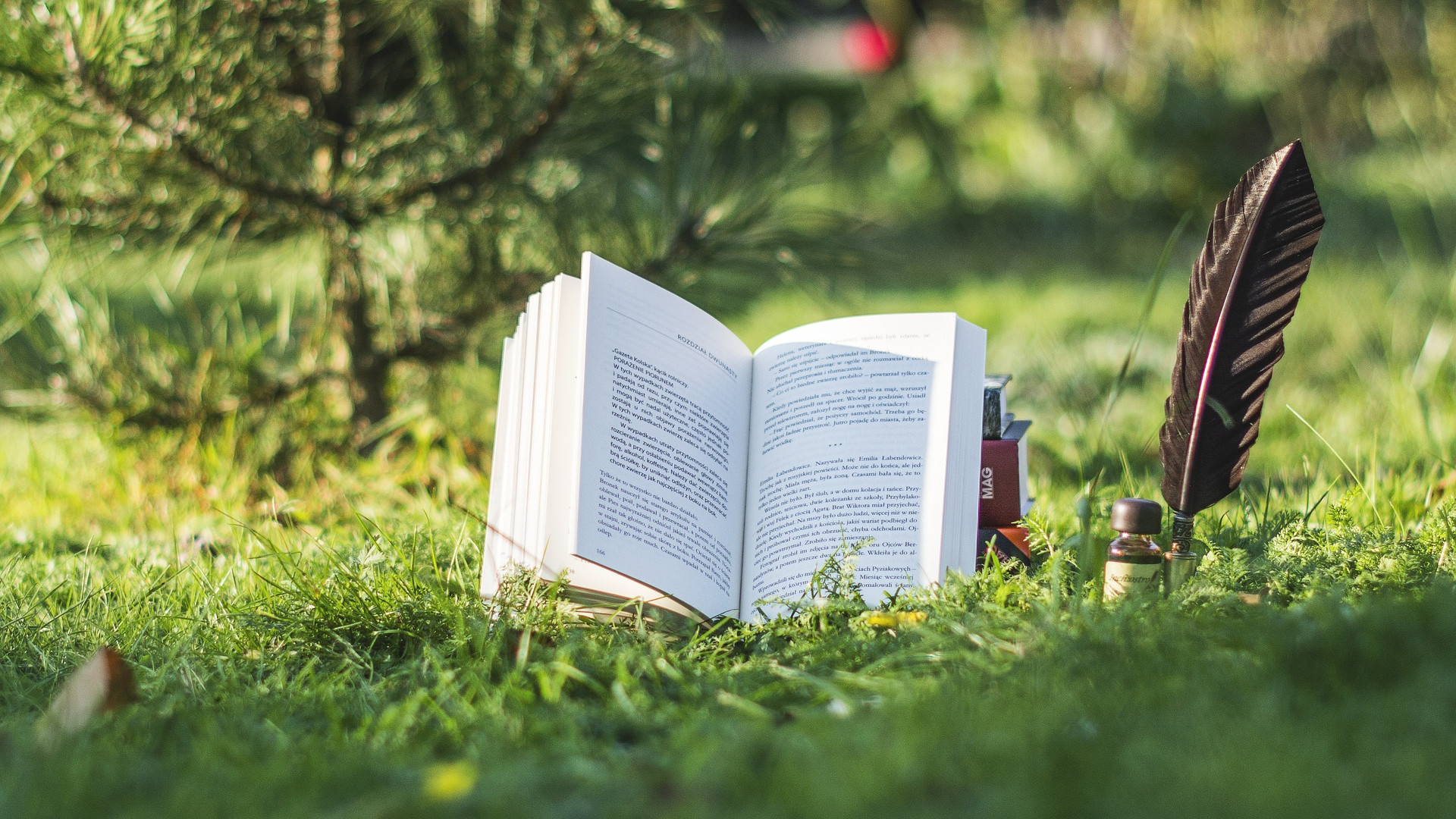 Nine New Environmental Books You Need to Read This Month • The Revelator