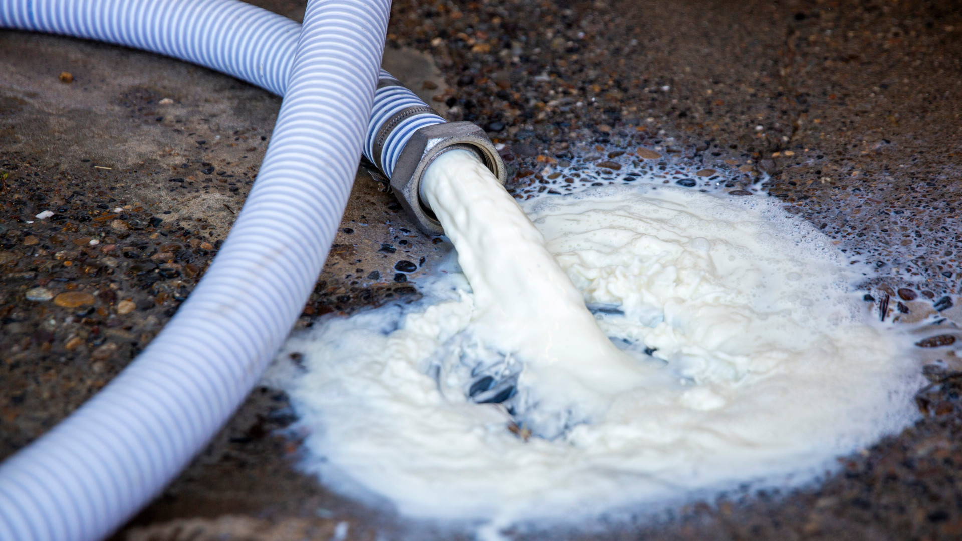 Food Waste in the Time of COVID-19: The Real Reason to Cry Over Spilt ...