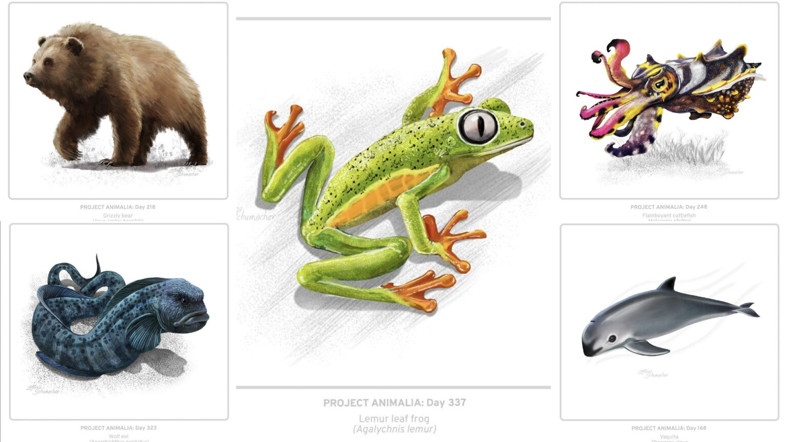 Project Animalia: A Year in 365 Animal Paintings • The Revelator