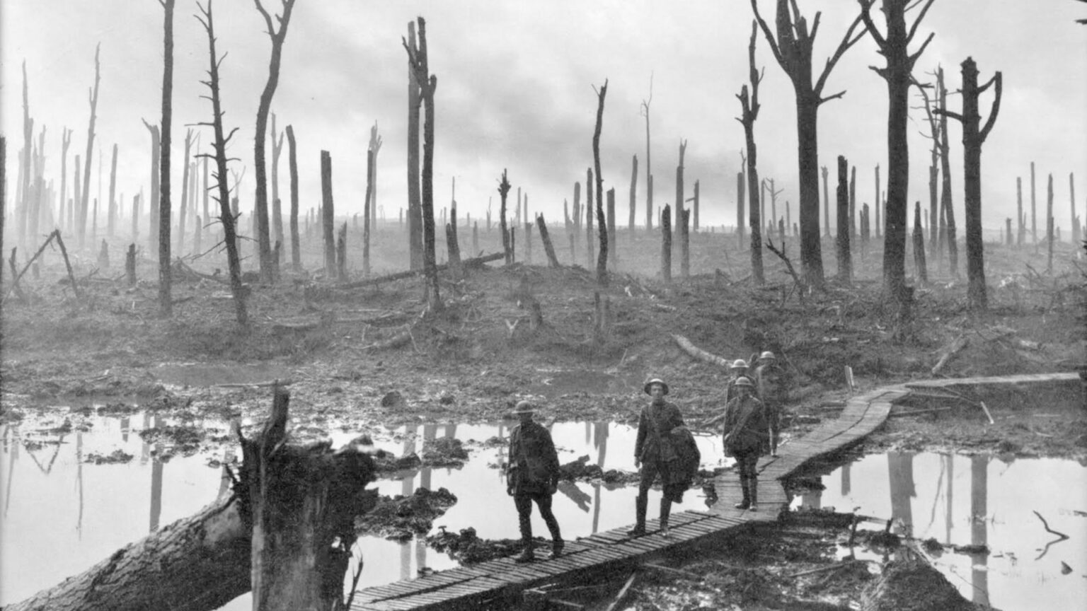 10 Ways War Harms Wildlife • The Revelator