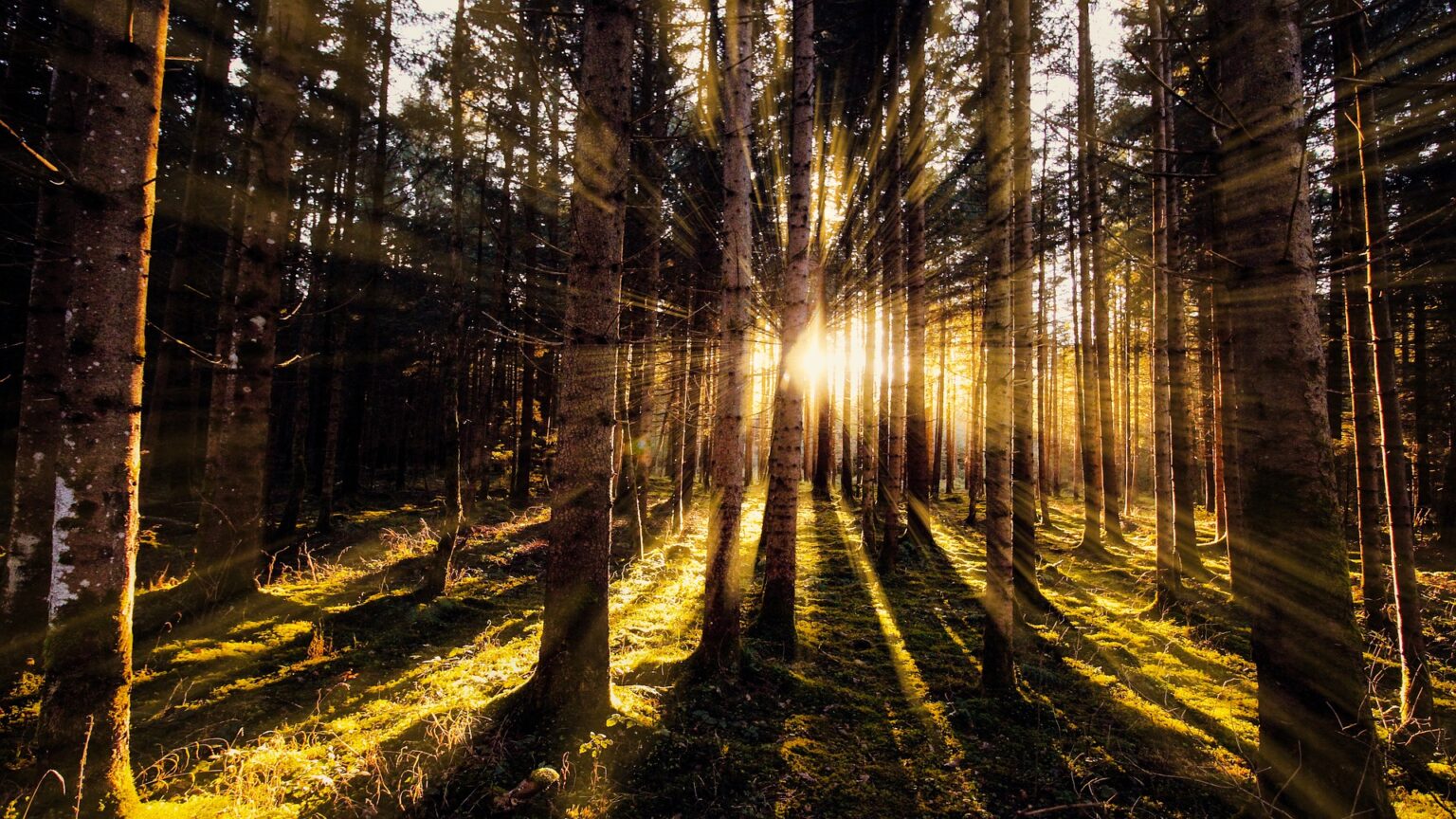 The Revelator - Environmental News, Investigations and Ideas