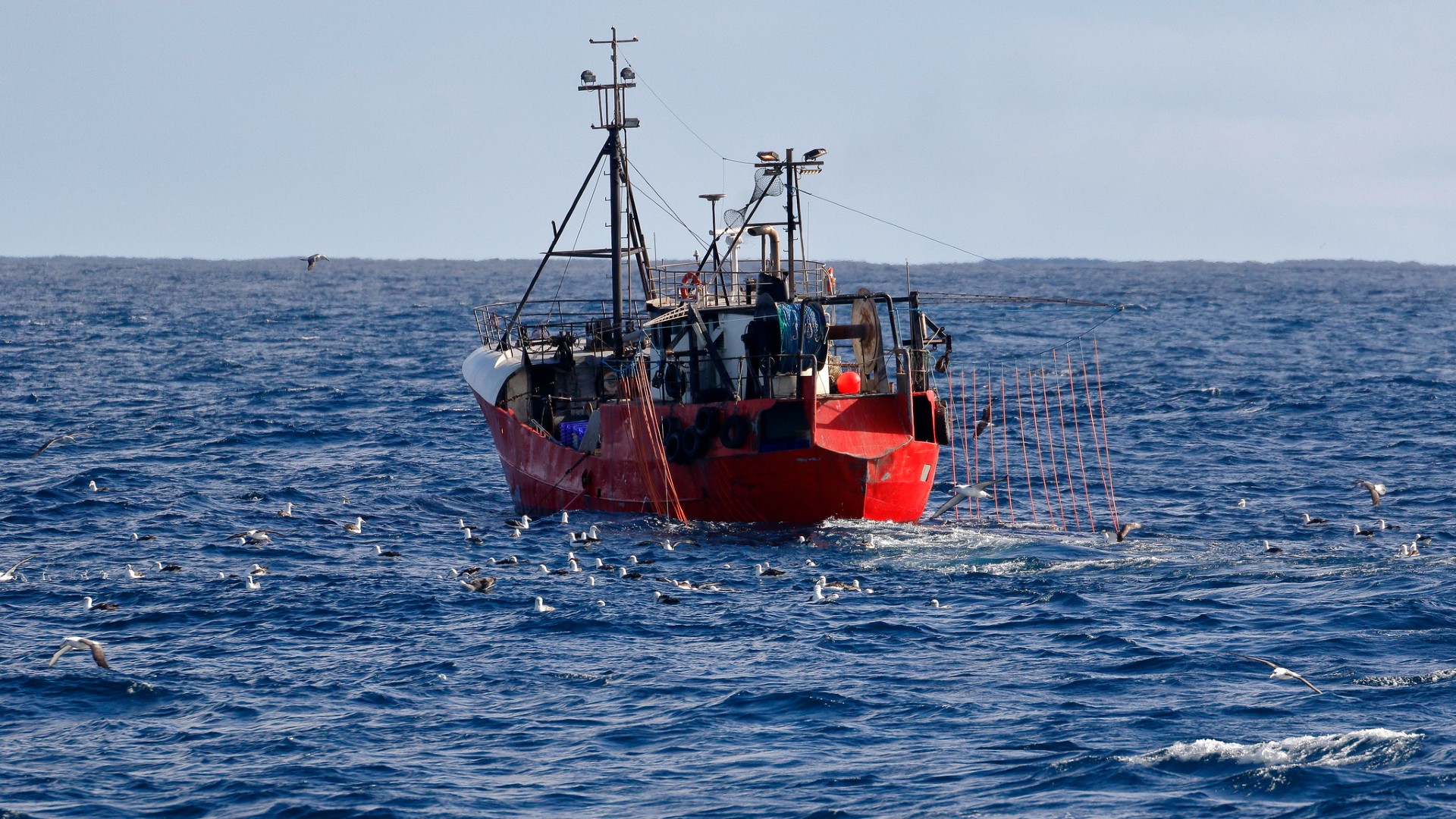 WTO Agreement Boosts Efforts for a Sustainable Ocean • The Revelator