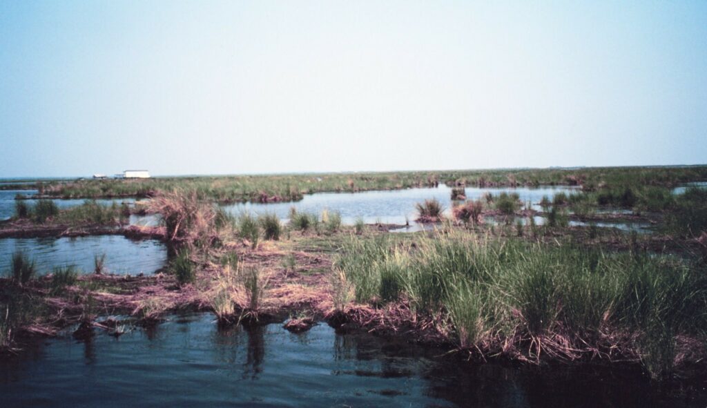 Divert or Die: Louisiana’s Controversial Plan to Save Coastal ...