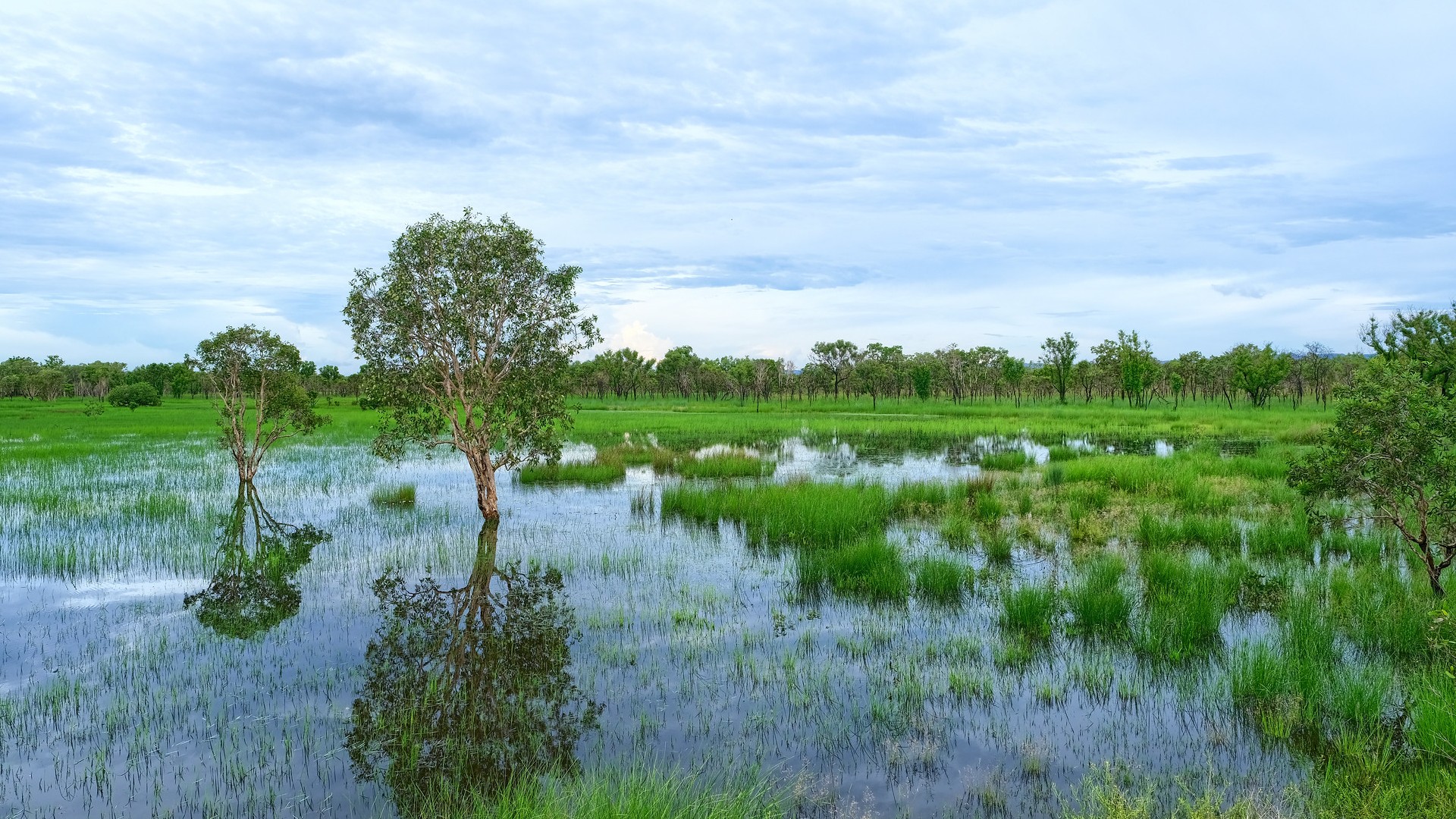 Standing Up for Freshwater Biodiversity • The Revelator Standing Up for Freshwater Biodiversity • The Revelator