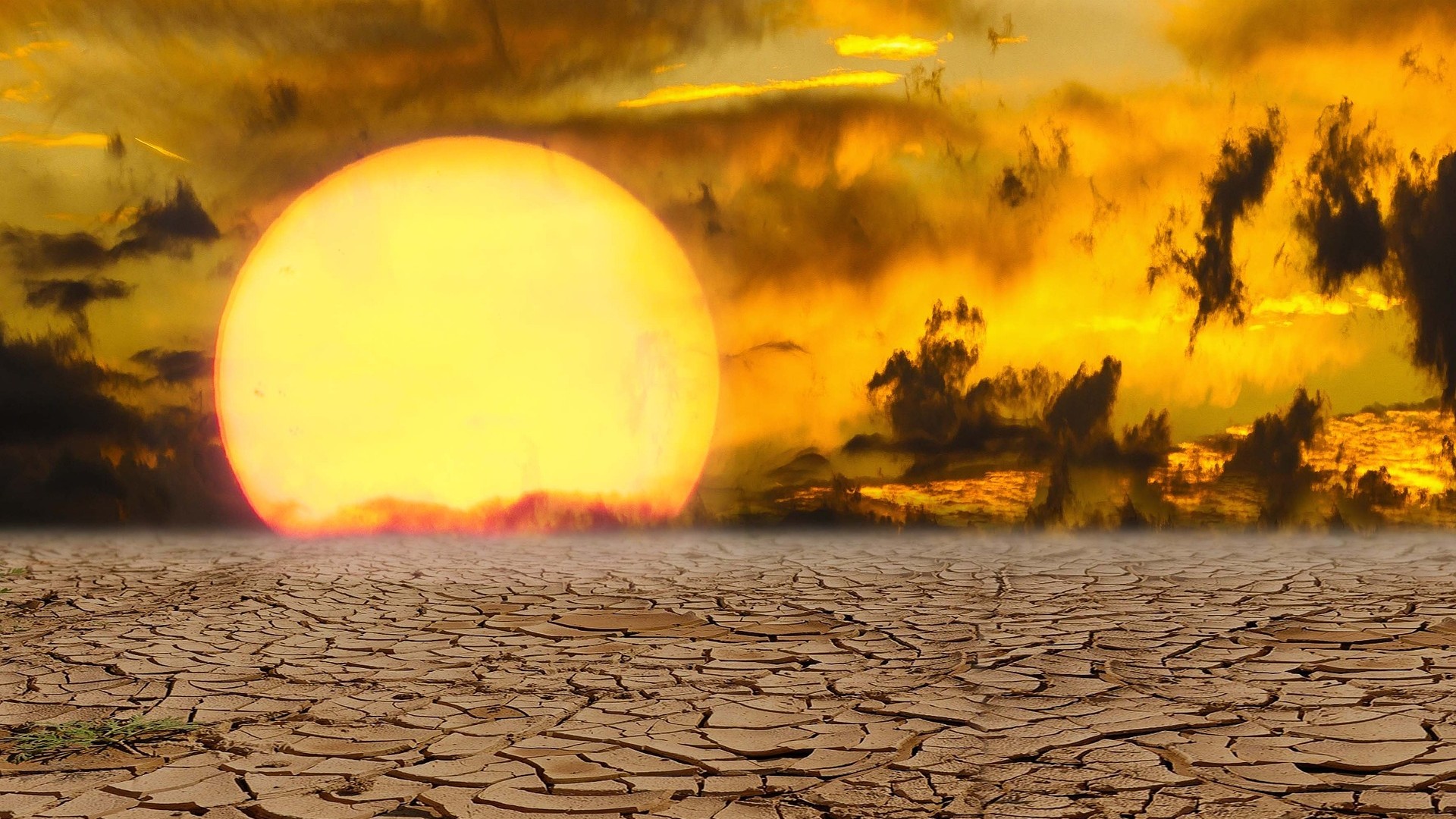 Climate Change Archives • The Revelator