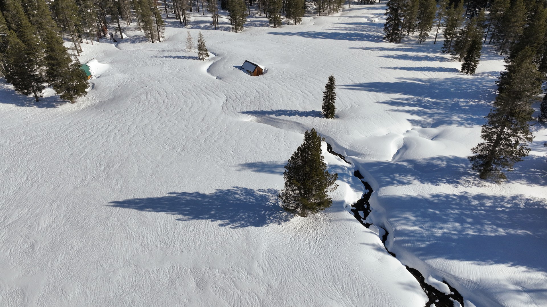 Wildlife Winners and Losers From the West’s Snowy Winter • The Revelator