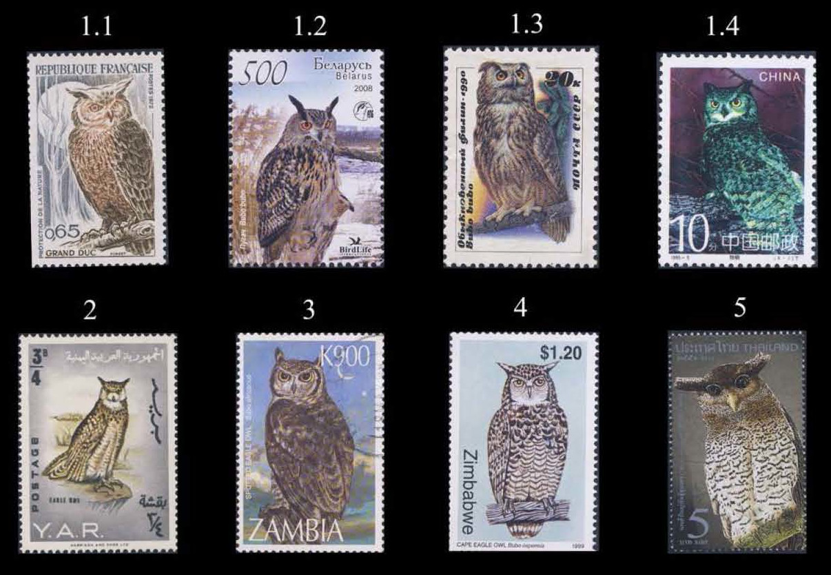 Can Collecting Stamps Help Rare and Endangered Species? • The Revelator