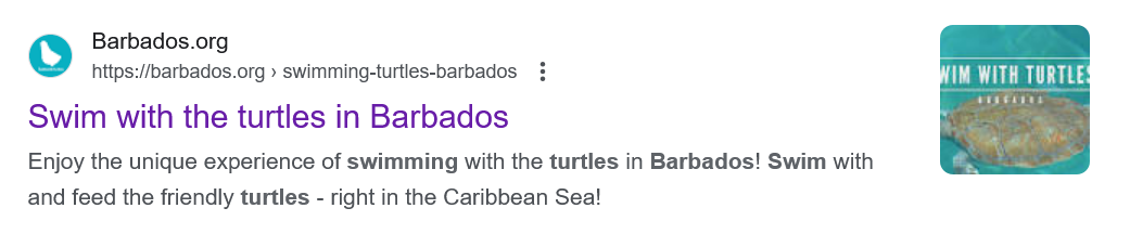 Should Tourists Swim With Endangered Sea Turtles? - The Good Men Project