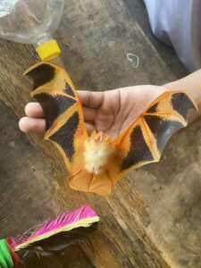 Species Spotlight: Going to Bat for Painted Woolly Bats • The Revelator