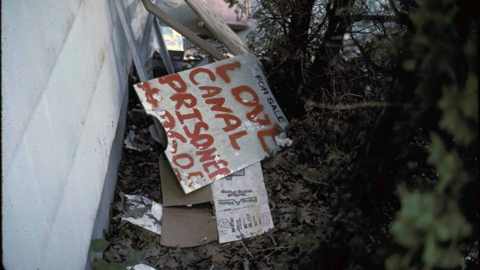 Love Canal: The Black Mothers Behind One of the Biggest Environmental ...