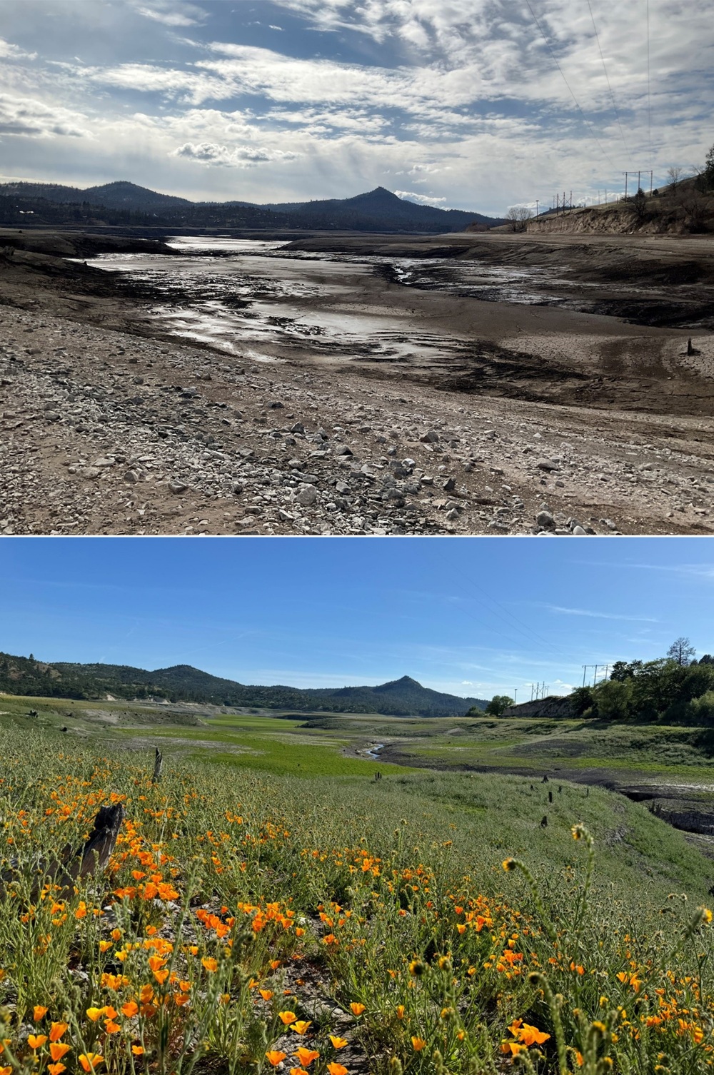 Restoration Update: In the Wake of Klamath Dam Removal • The Revelator